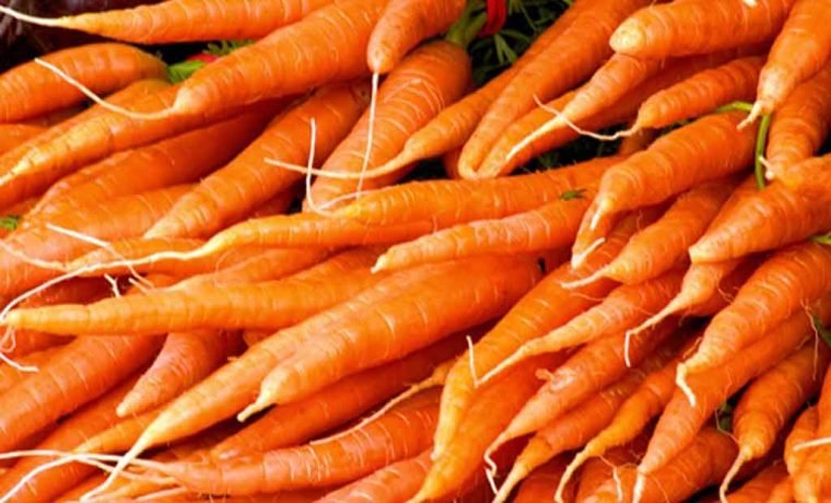La Carotte, l’amie de votre santé et votre peau ! | Ocean's News