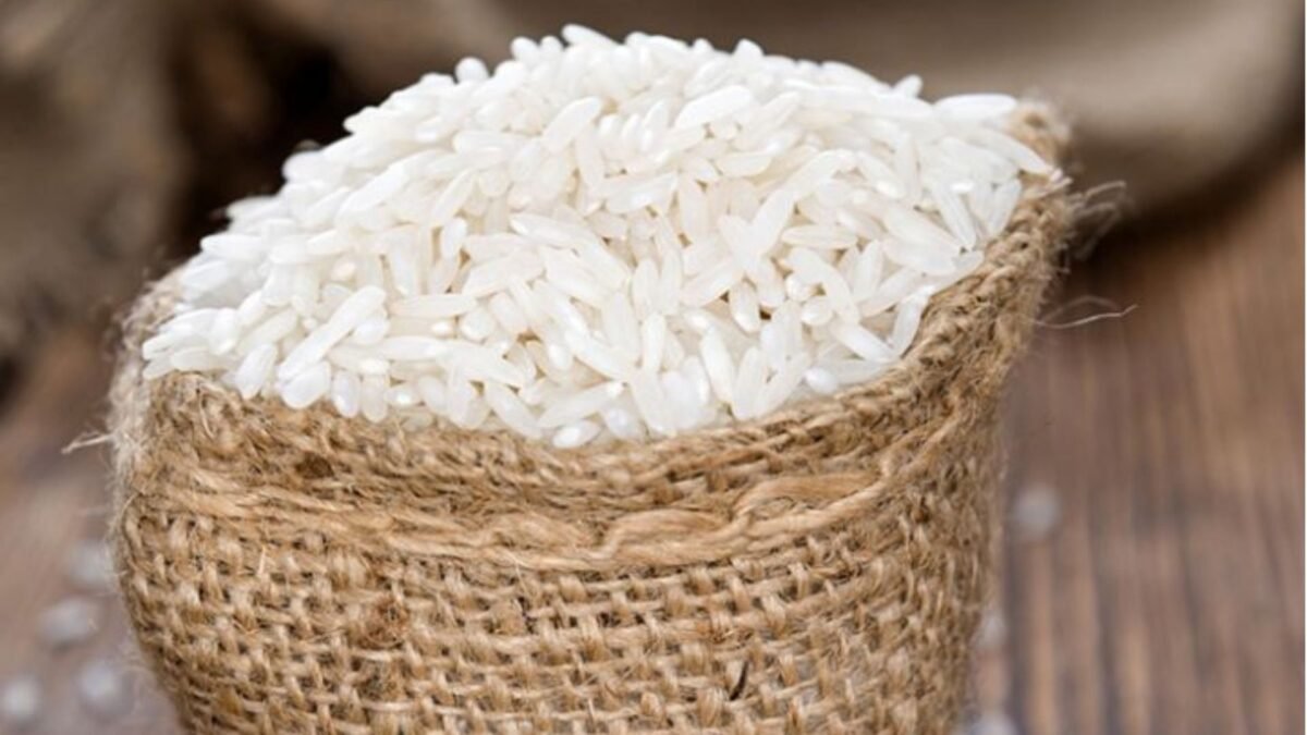 Production de riz en Côte d'Ivoire : le gouvernement s'active